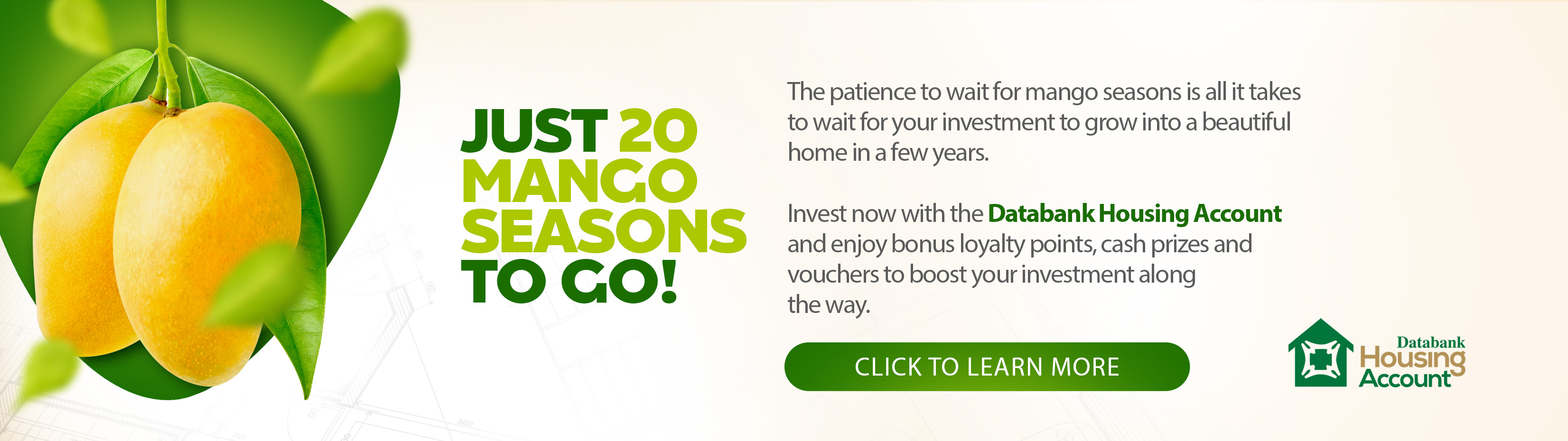 Databank Financial Services Limited – Leadership