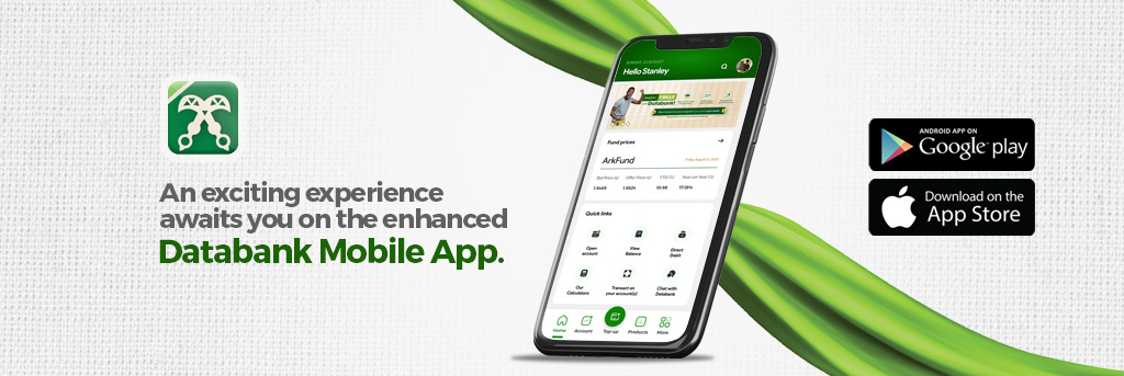 Databank Financial Services Limited – Leadership